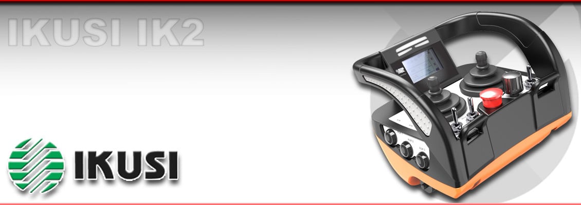 Lifting Scales & Weighing Systems | Integrated Crane Scales