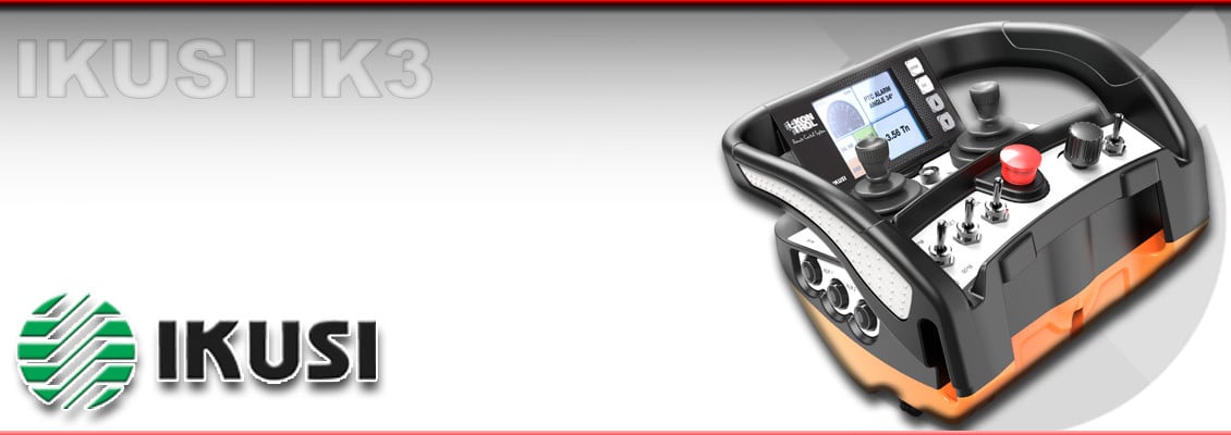 Lifting Scales & Weighing Systems | Integrated Crane Scales