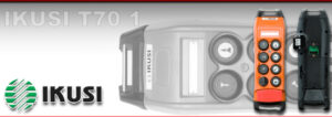 Lifting Scales & Weighing Systems | Integrated Crane Scales