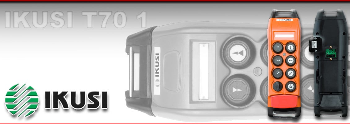 Lifting Scales & Weighing Systems | Integrated Crane Scales