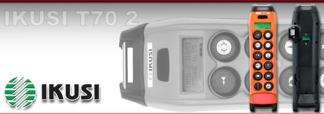 Lifting Scales & Weighing Systems | Integrated Crane Scales