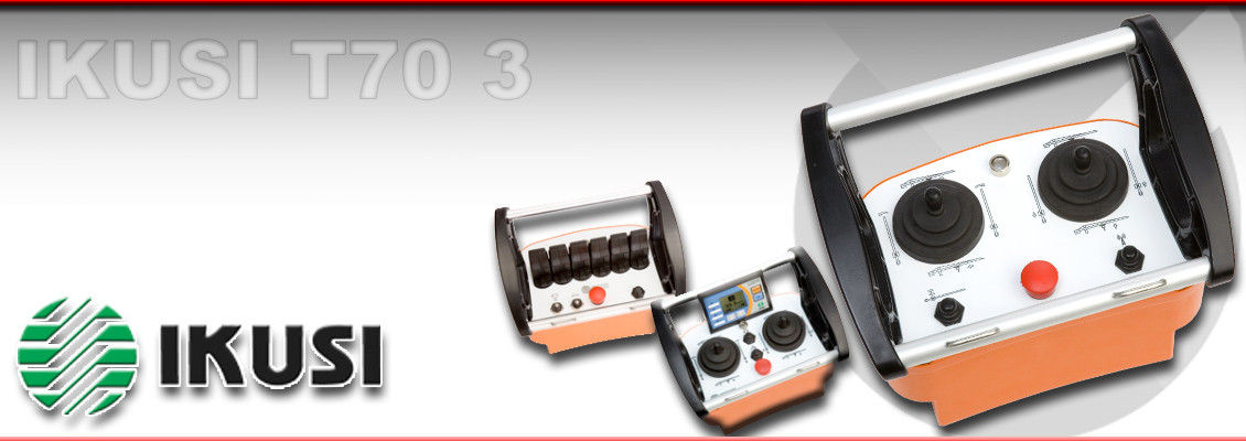 Lifting Scales & Weighing Systems | Integrated Crane Scales